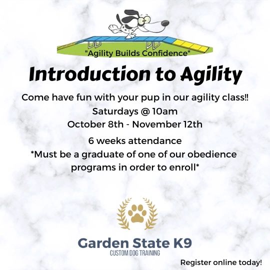 Introduction to Agility